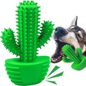 Paws Magic - Paws Magic Online Pet Supplies Store