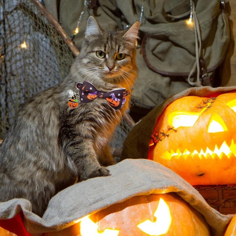 Paws Magic - Paws Magic Online Pet Supplies Store