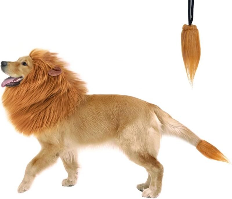 Paws Magic - Paws Magic Online Pet Supplies Store